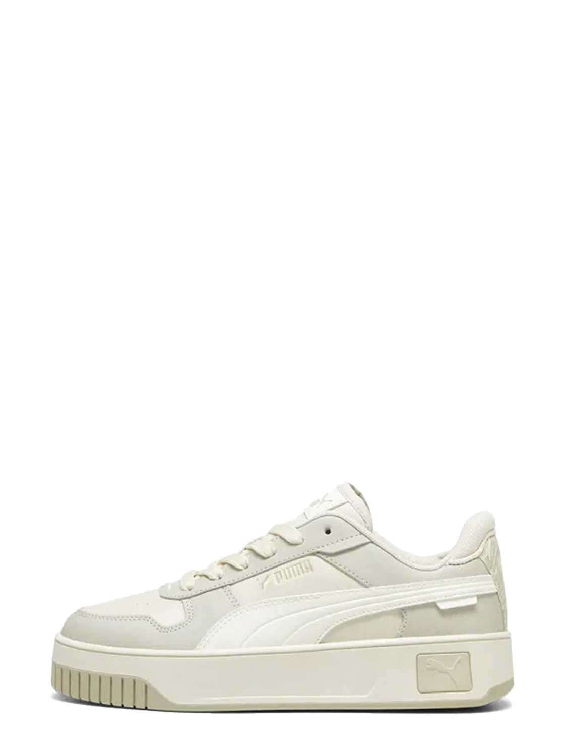 Puma carina street animal fever